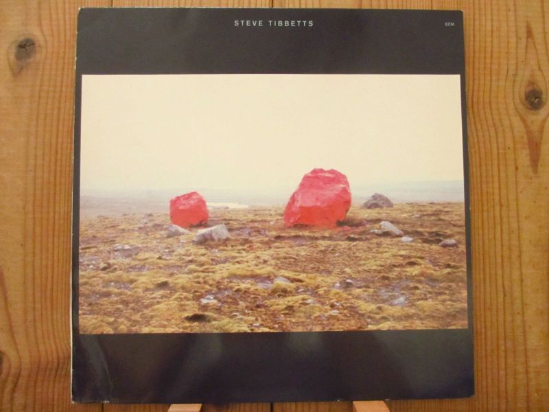 Steve Tibbetts / Exploded View - Guitar Records