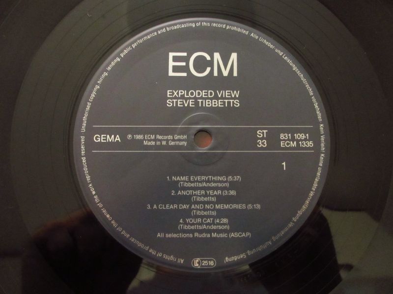 Steve Tibbetts / Exploded View - Guitar Records