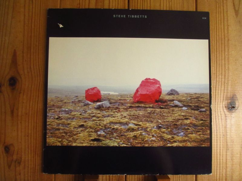 Steve Tibbetts / Exploded View - Guitar Records